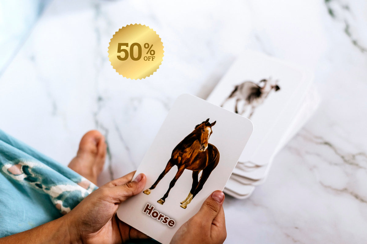 Flashcards | Brainy Baby Flashcards – The Brainy Store