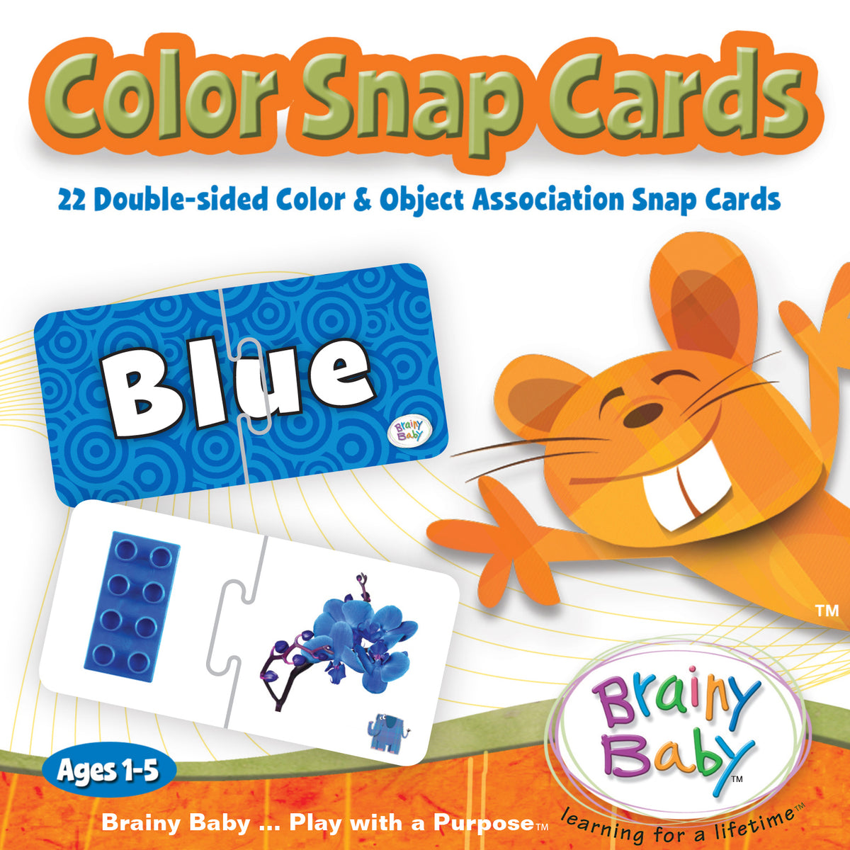 Brainy Baby Learn Colors Snap Card Puzzle | Learn Colors and Object ...